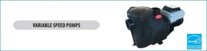 Pumps - Blue Torrent Pool Products