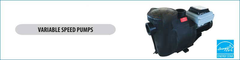 Pumps - Blue Torrent Pool Products